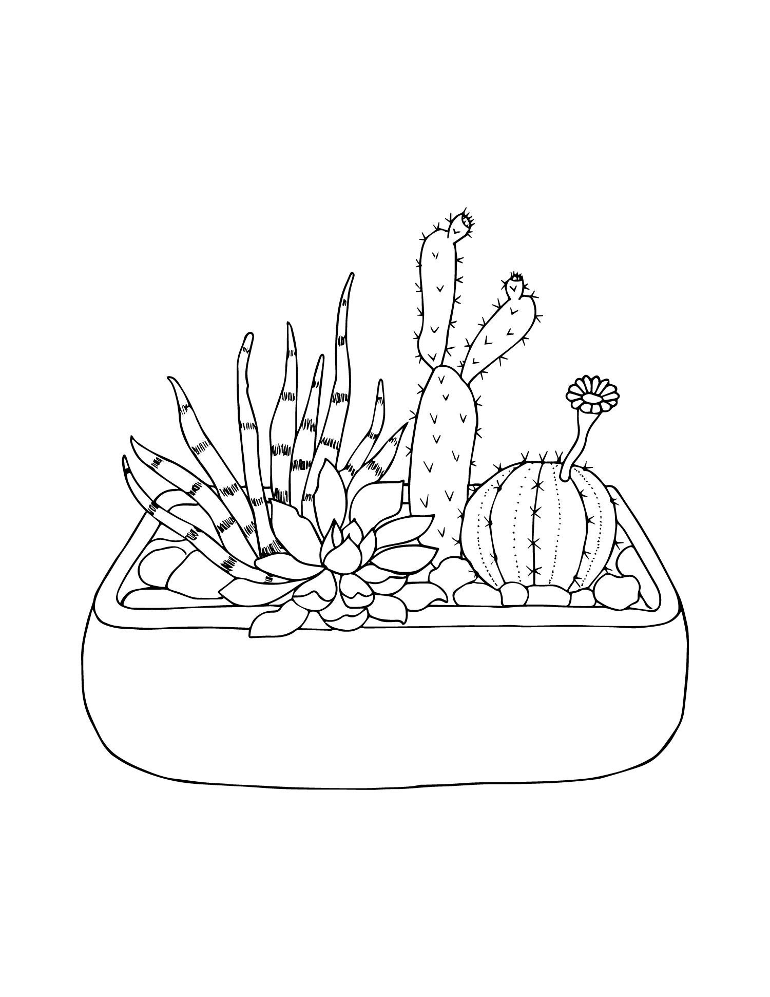 Succulent Coloring Pages , Cactus Coloring Pages , Cacti Coloring Pages ...