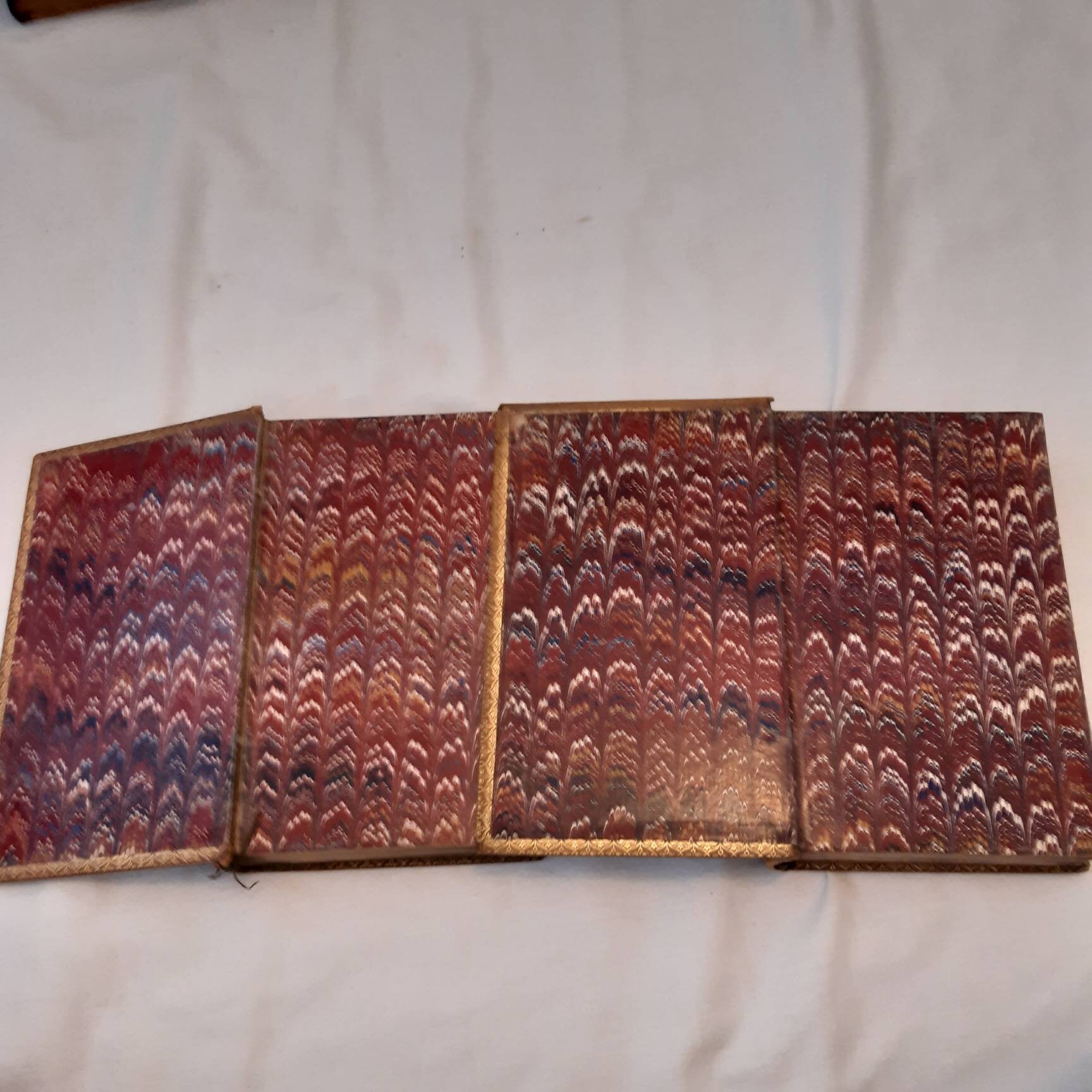 Francis Buckland Curiosities of Natural History 1867 1868 Full Leather ...