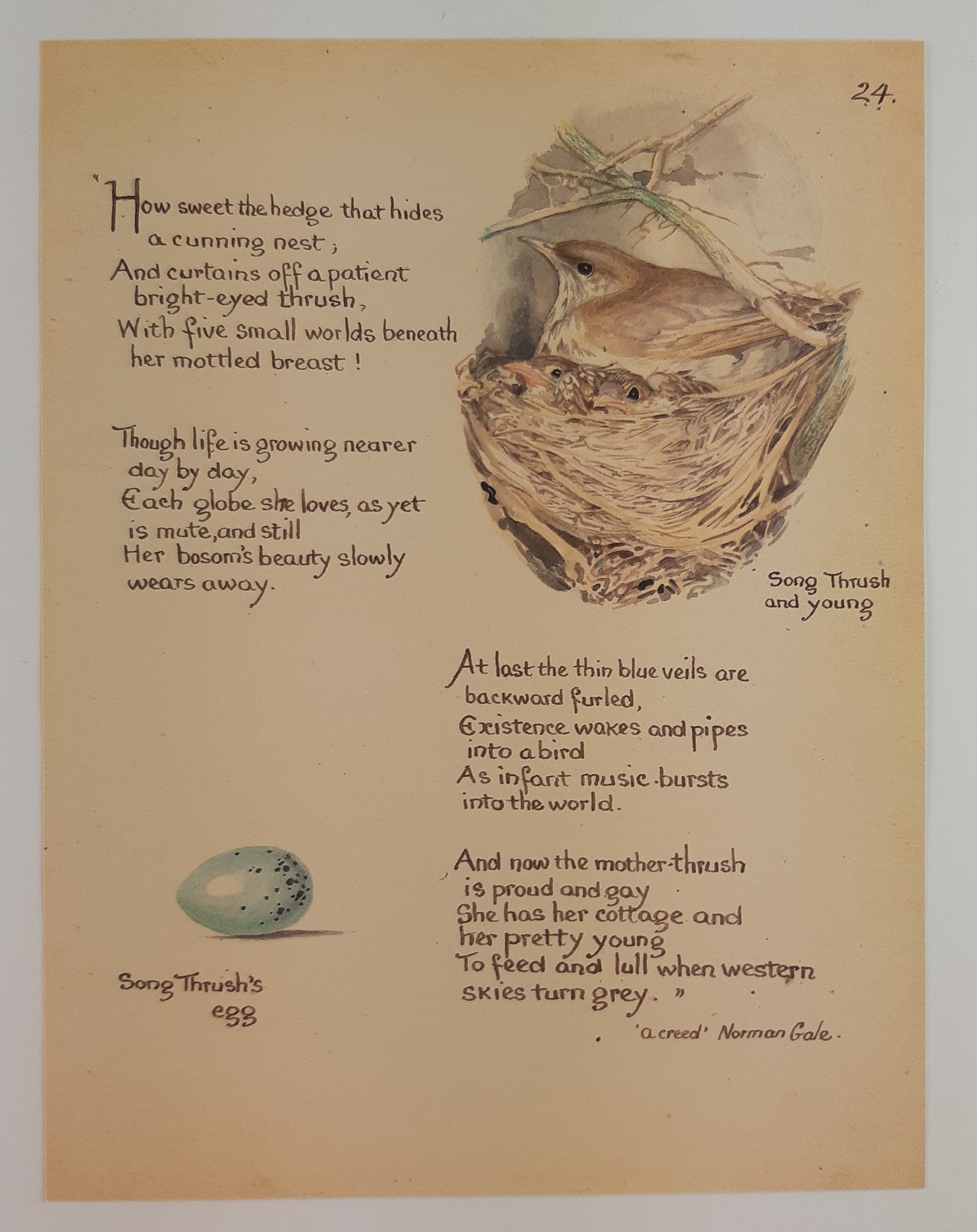 Edith Holden Song Thrush Egg and Poem Vintage Print - Etsy