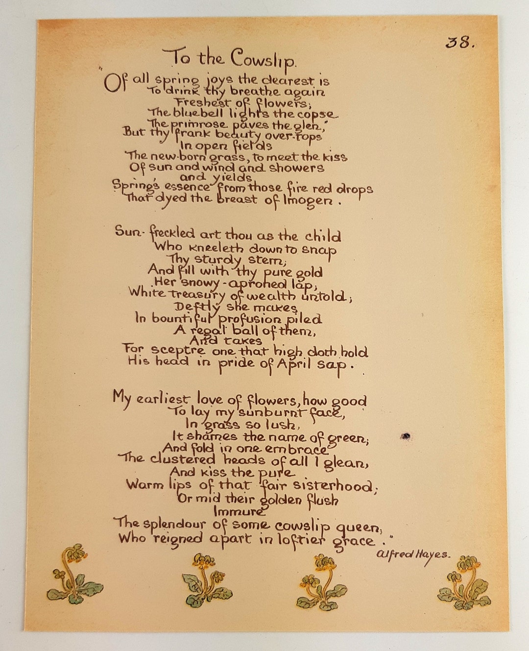 Edith Holden Vintage Botanical Print to the Cowslip Poem by Alfred ...