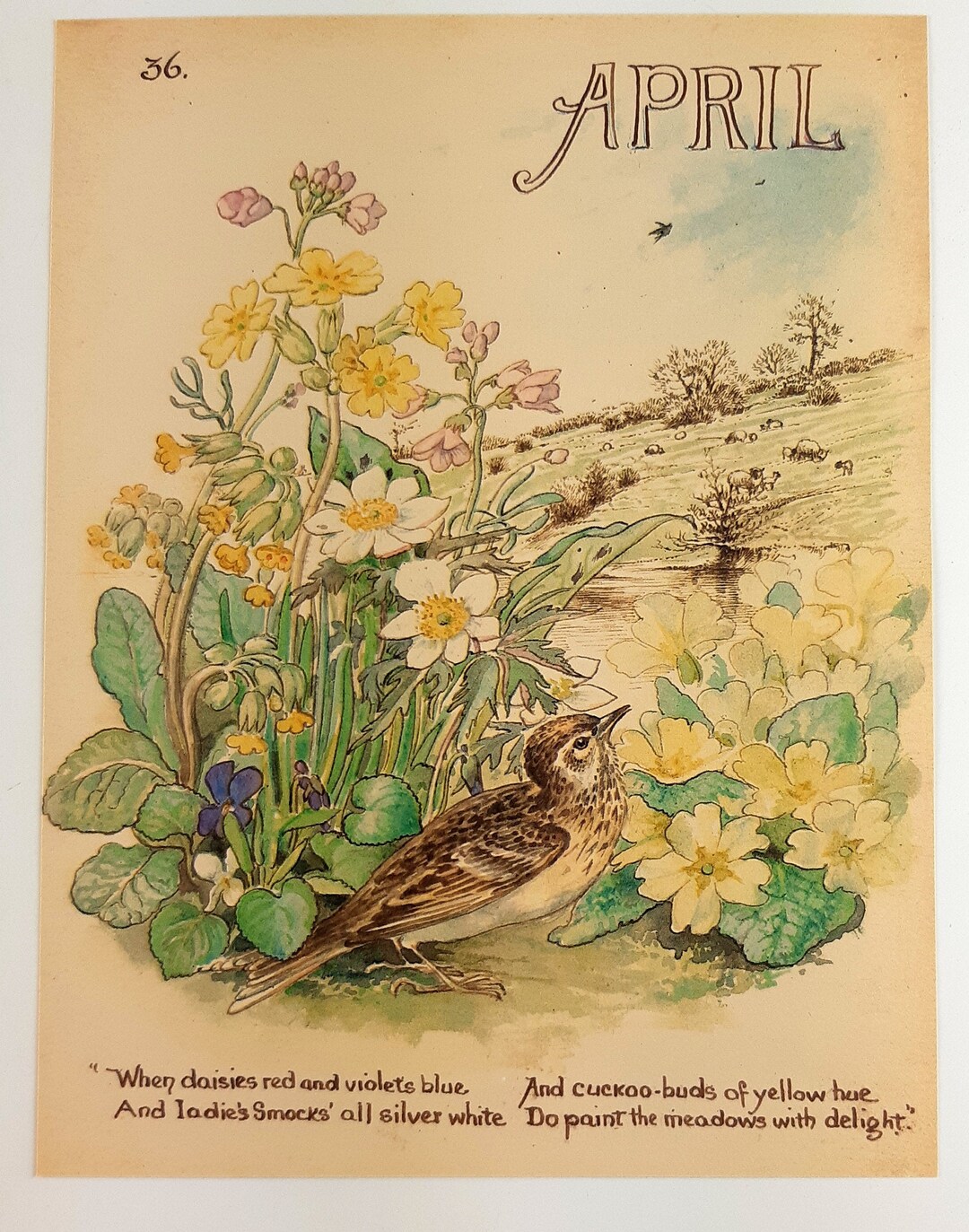 Edith Holden April Wild Flowers Vintage Botanical Print - Etsy