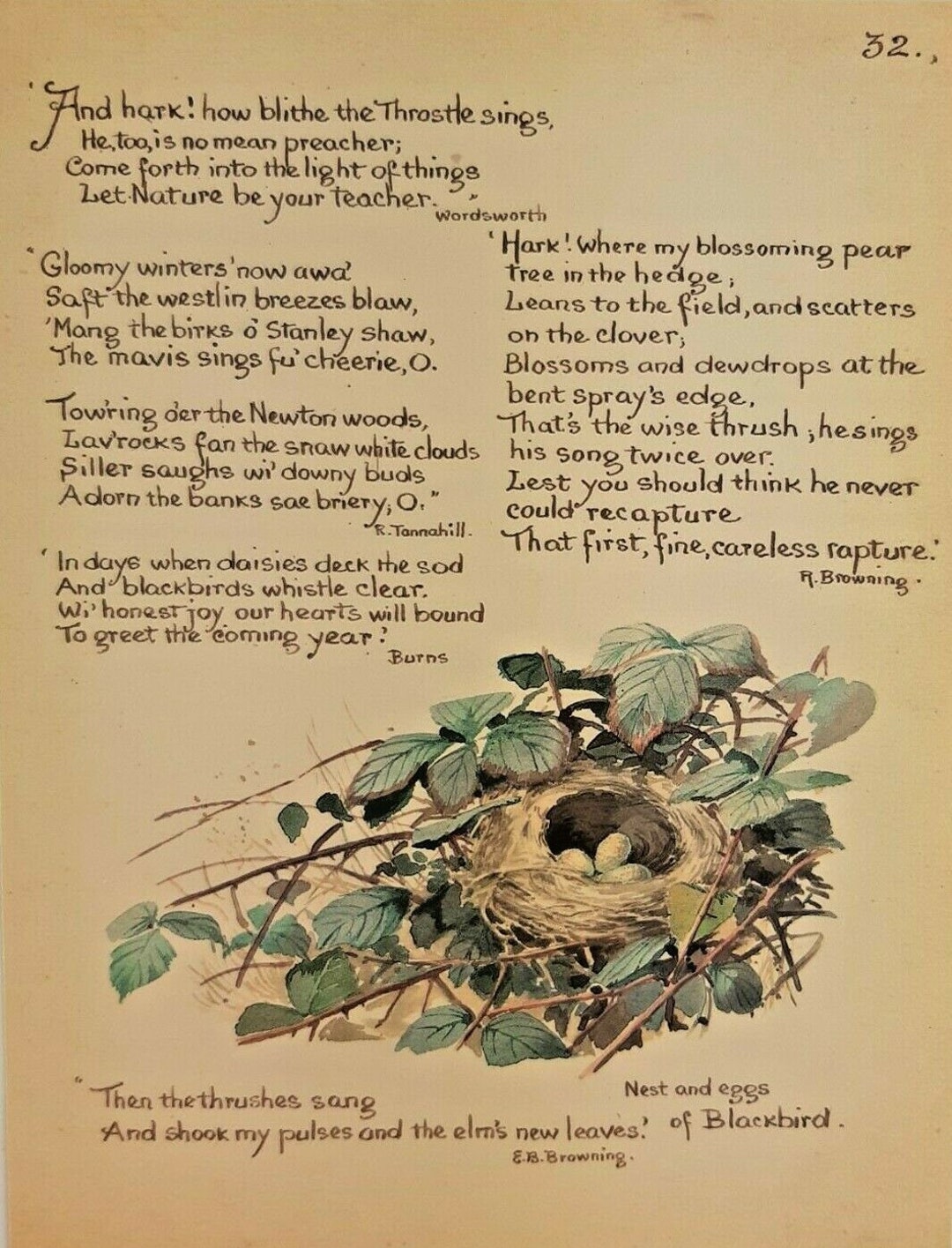 Edith Holden Blackbird Nest and Eggs With Poems and Quotes Botanical ...