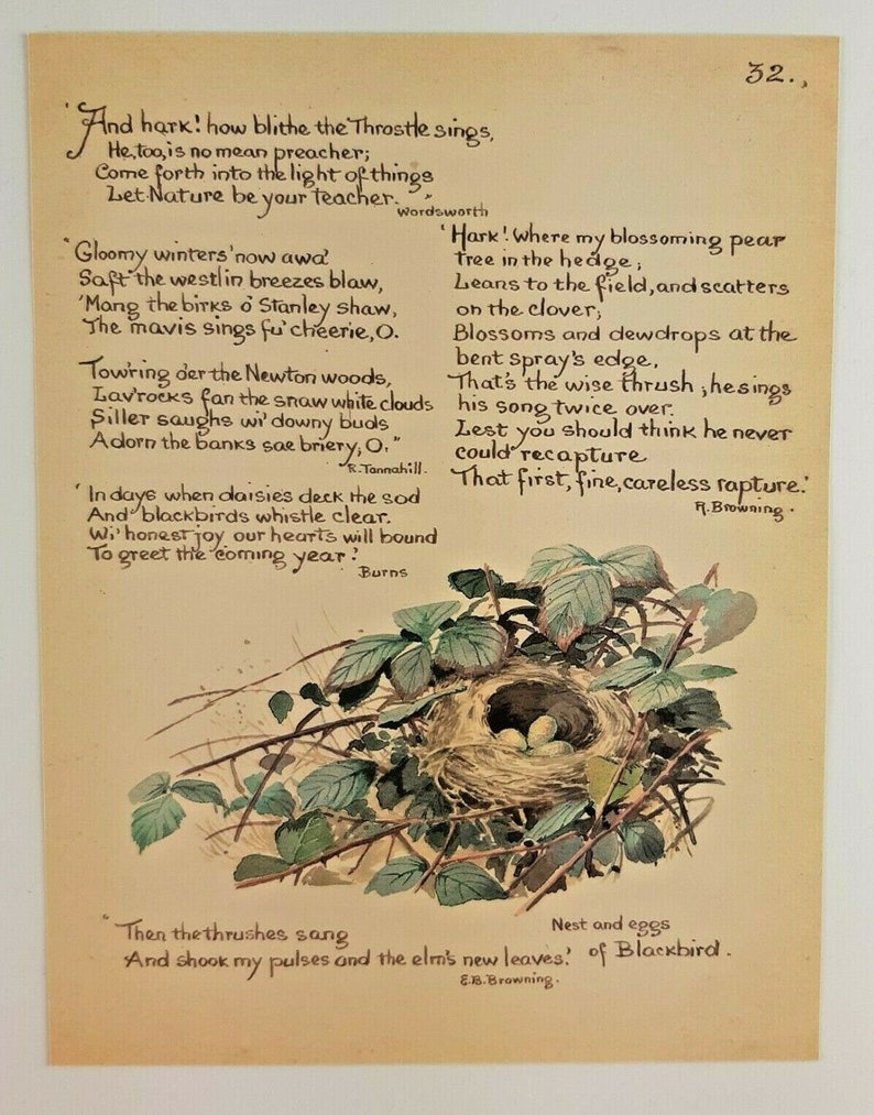 Edith Holden Blackbird Nest and Eggs With Poems and Quotes Botanical ...