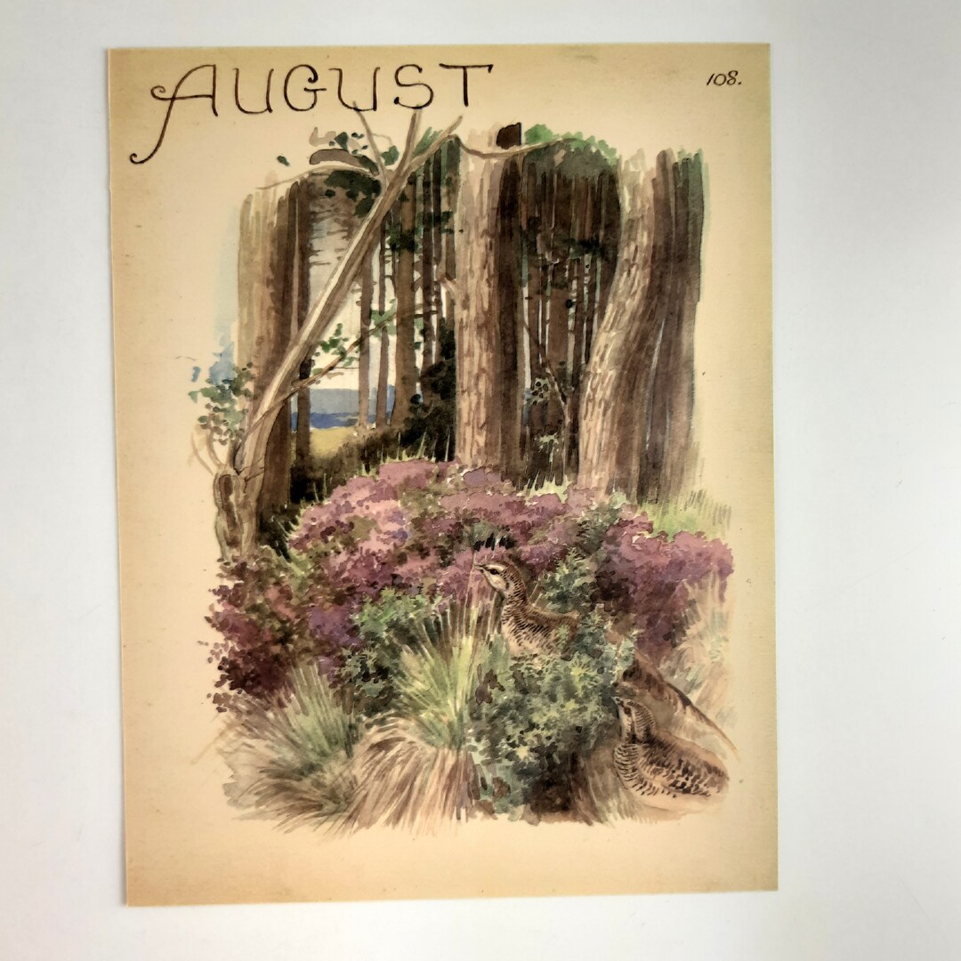 Edith Holden August Wood Forest Botanical Print - Etsy