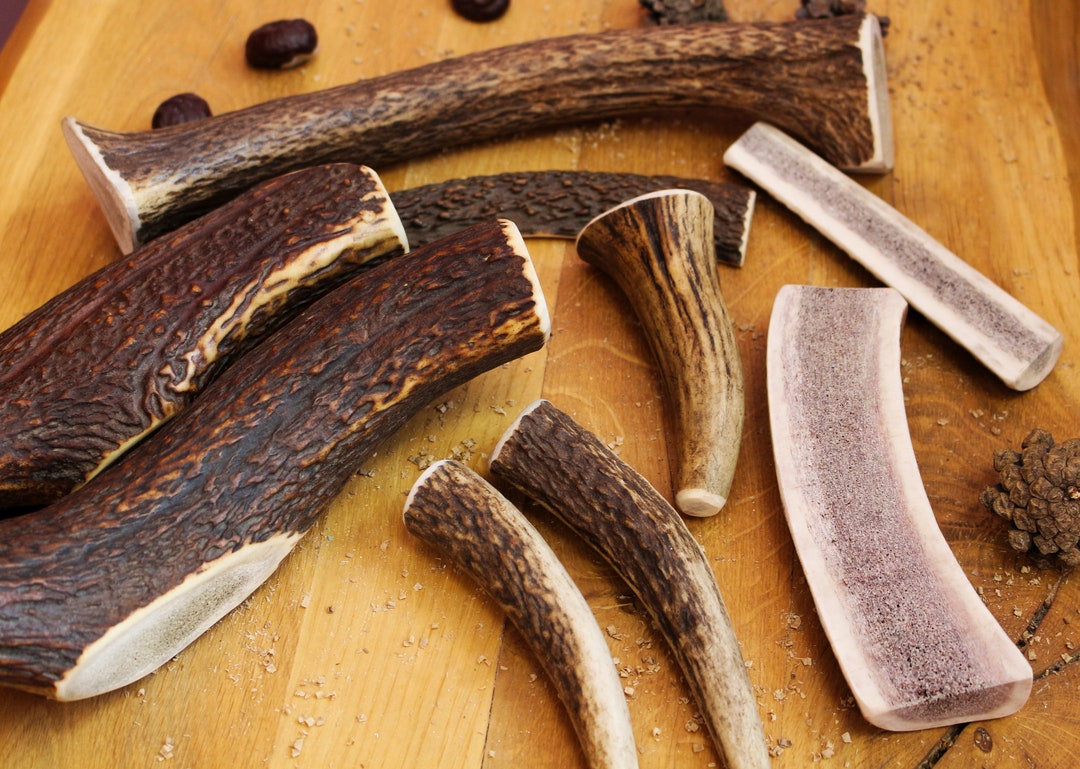 Deer Antler Chews 2.2 Lbs 1 Kg All Sizes for Dogs Long-lasting Chew for ...