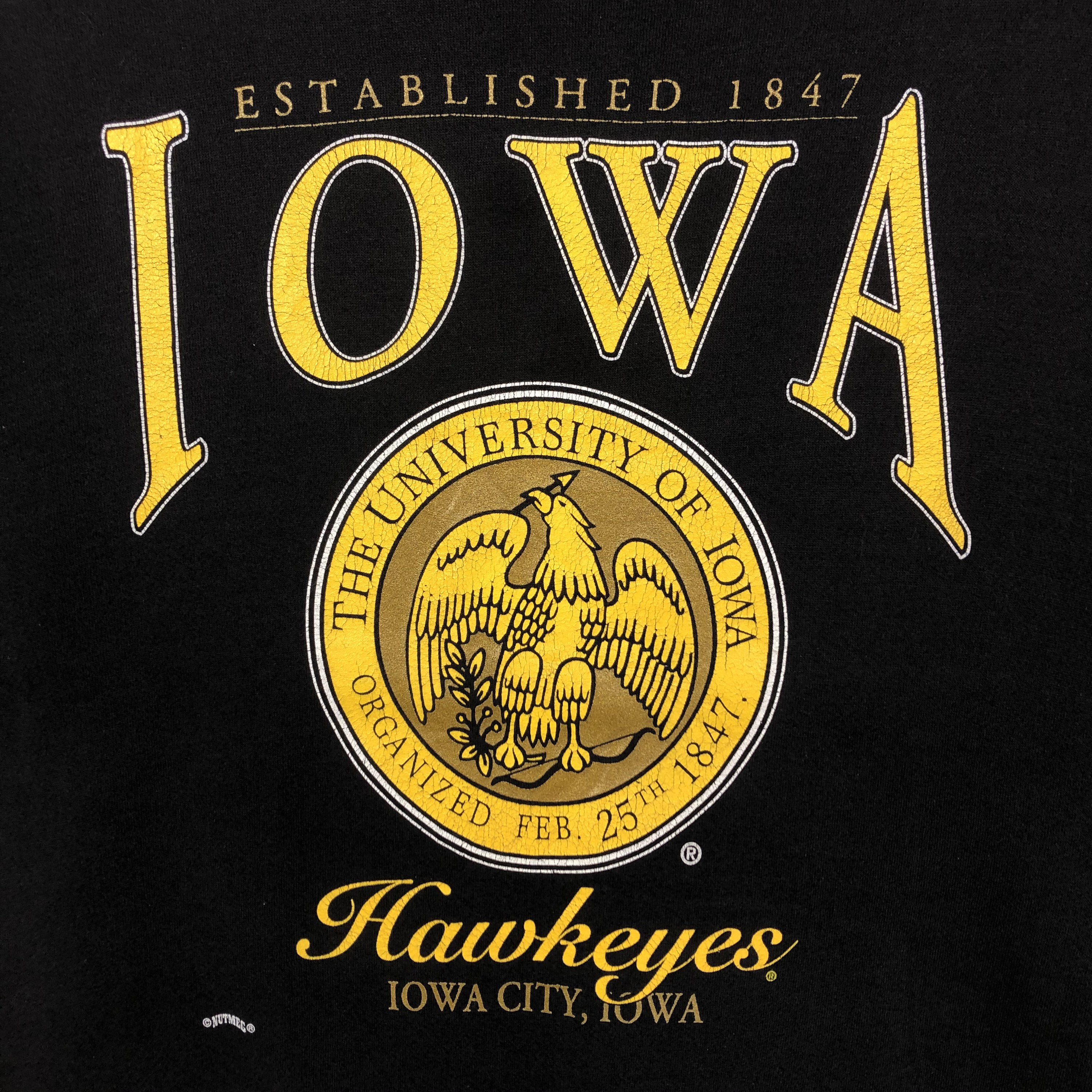 Vintage 90s the University of Iowa Sweatshirt Crewneck University of ...