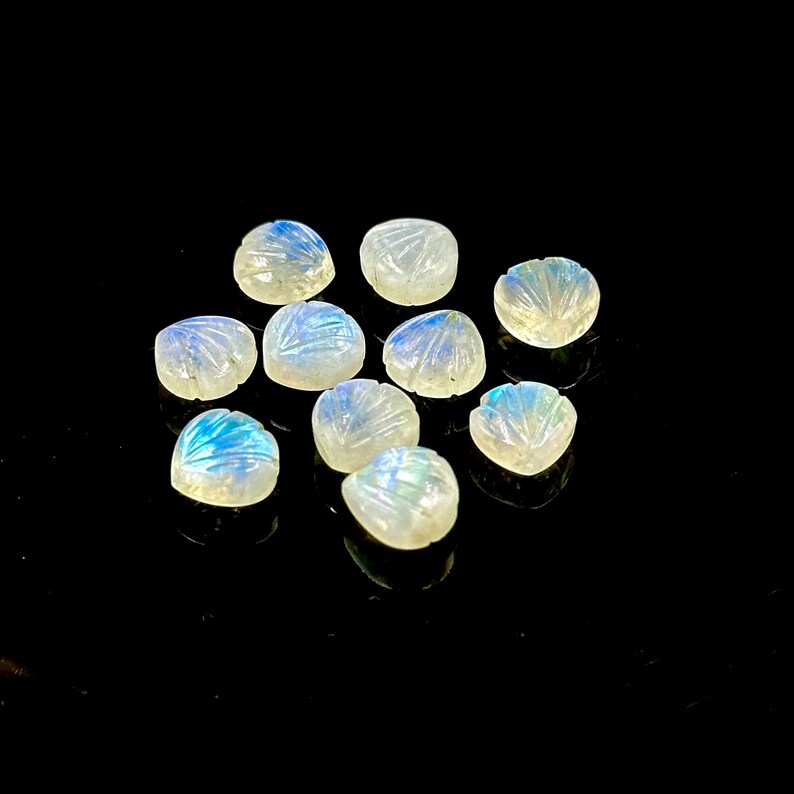 AAA+ Quality Rainbow Moonstone Shell Shape Beads, 8 MM Hand Carved ...