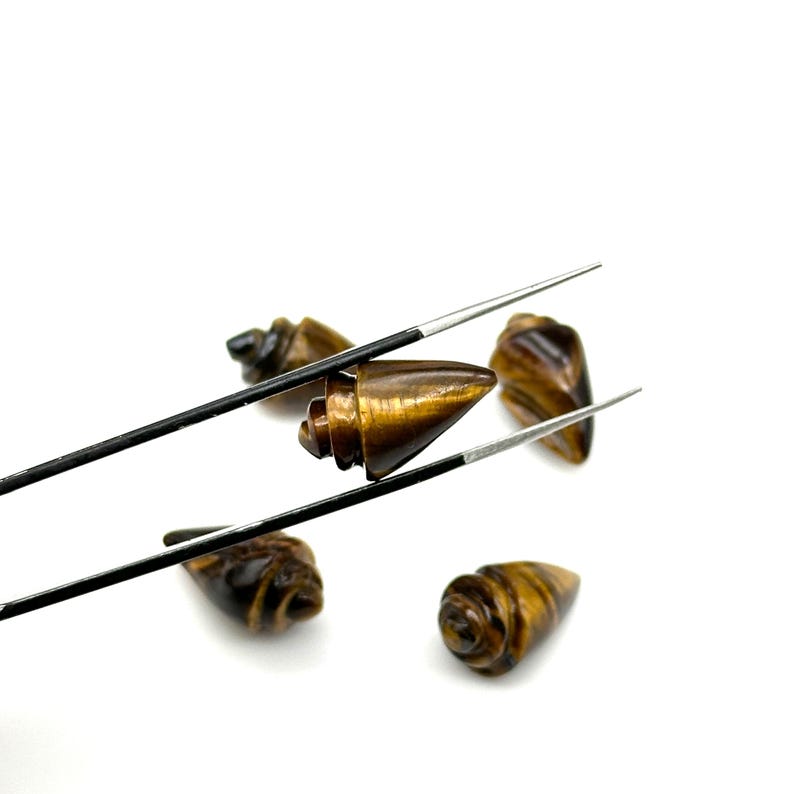 Natural Tiger Eye Conch/snail Shell Shape Carving, Brown Tiger Eye Hand ...