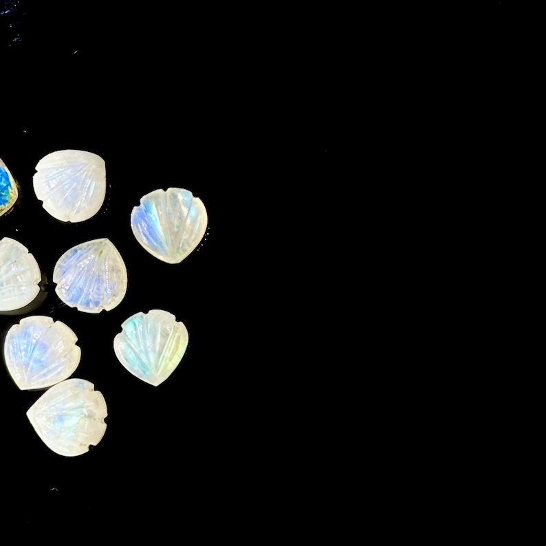 AAA+ Quality Rainbow Moonstone Shell Shape Beads, 8 MM Hand Carved ...