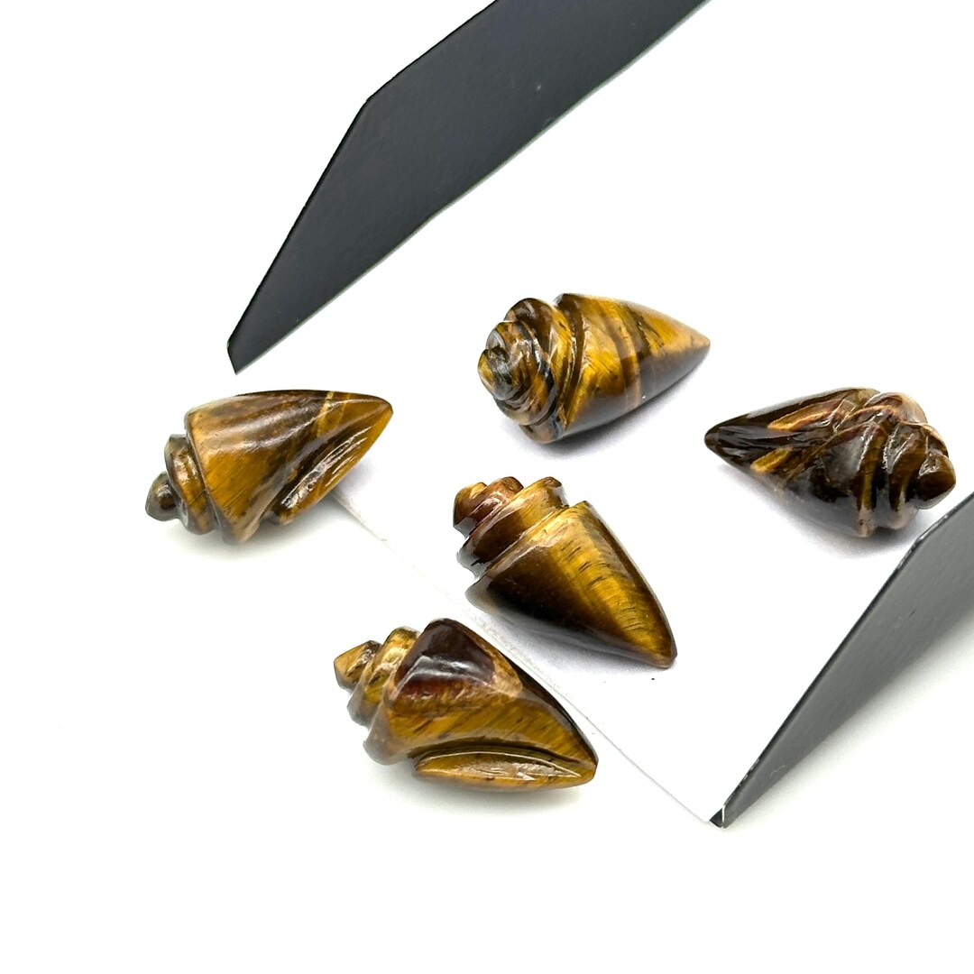 Natural Tiger Eye Conch/snail Shell Shape Carving, Brown Tiger Eye Hand ...