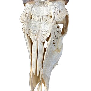 Giant Carved Eland Skull Real African Antelope Horns and Skull African ...