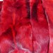 Dyed Red African Springbok Skin African SPRINGBOK Skin African Antelope ...