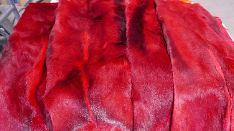Dyed Red African Springbok Skin African SPRINGBOK Skin African - Etsy ...