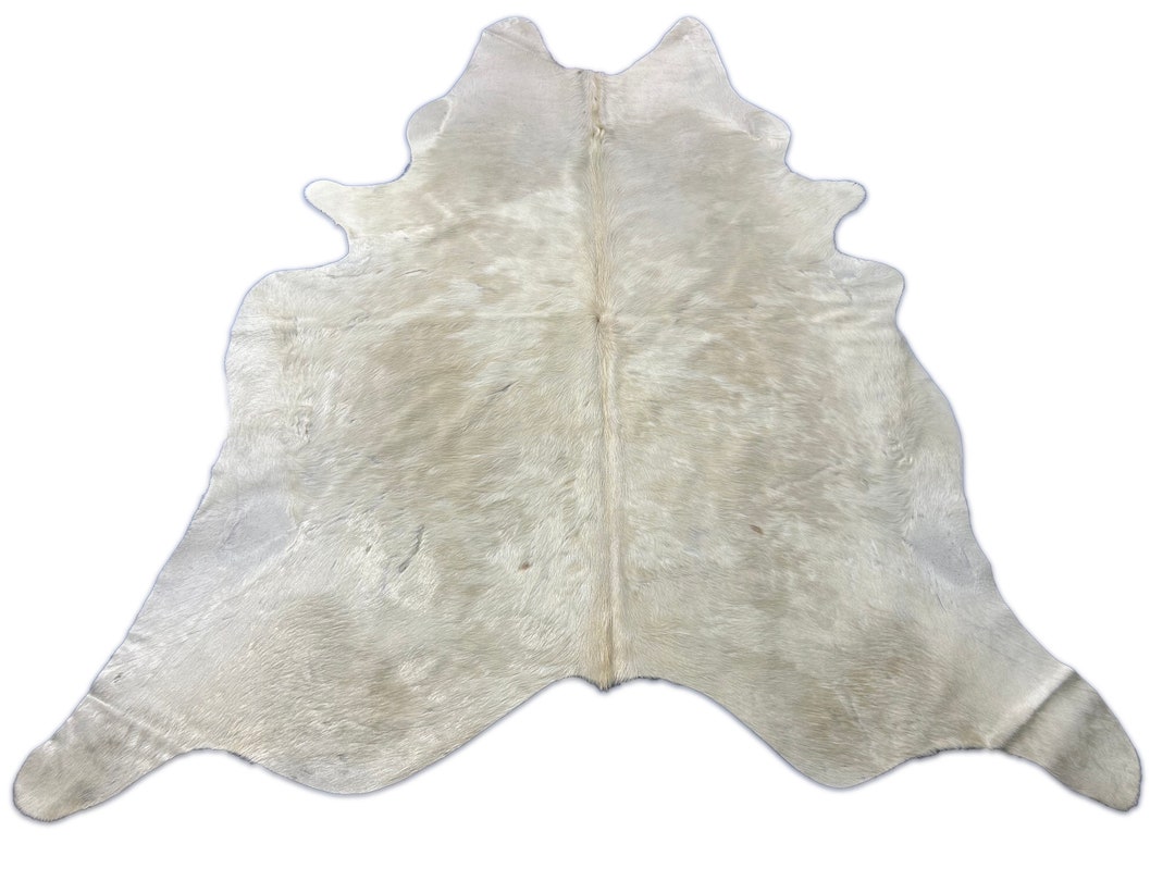 Ivory Cowhide Rug this Cowhide Has Some Scars Size: 7x7 Feet D-318 - Etsy