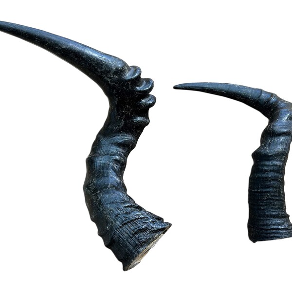African Antelope - Etsy