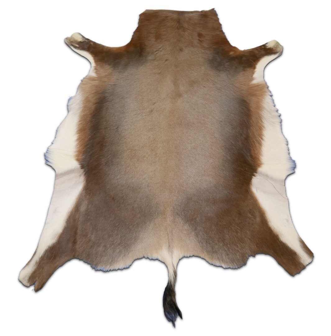 Antelope Skin Blesbok Skin Brand New Antelope Hide Around - Etsy