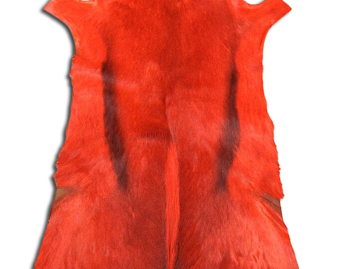 Dyed Burnt Orange African Springbok Skin African SPRINGBOK - Etsy