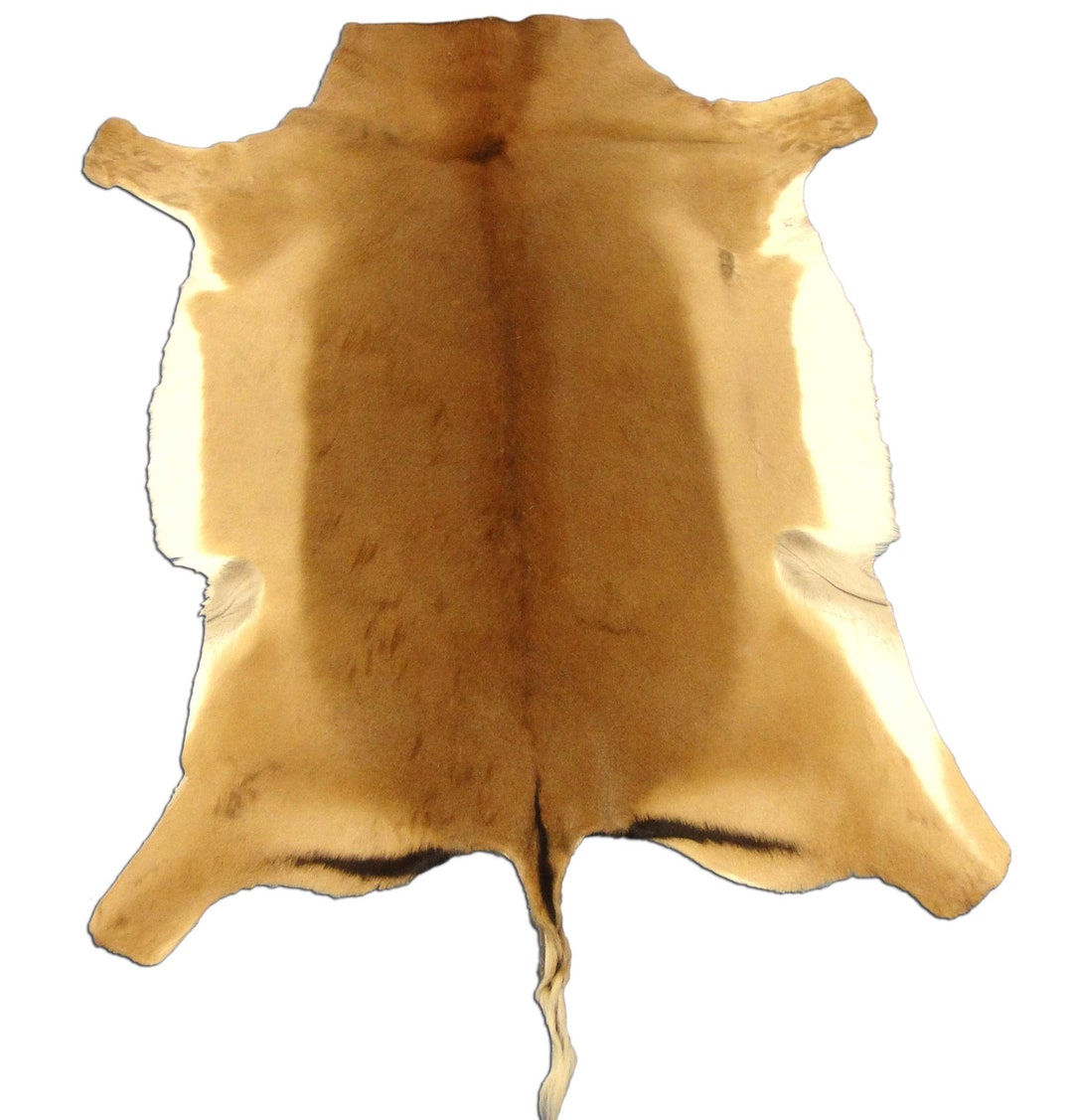 Impala Skin African Impala Hide/ Antelope Hide / Deer Skin - Etsy UK