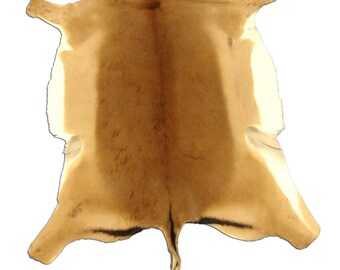 Springbok / Small Antelope Skin Rug. Full Authentic Hide. Leather ...