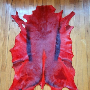 Dyed Red African Springbok Skin African SPRINGBOK Skin African Antelope ...