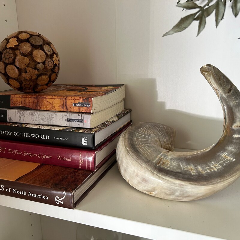 Shofar - Etsy