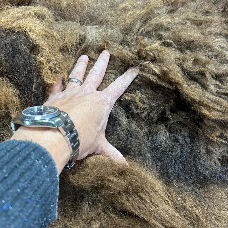 Beautiful Bison Skin (nice Tail/lush Fur) - Size: 8x7 Feet Bison # 19 ...