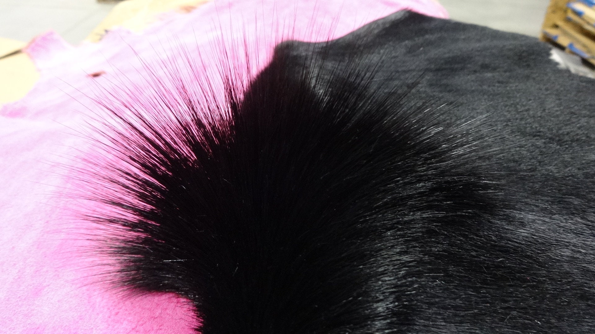 Dyed Burgundy African Springbok Skin African SPRINGBOK Skin - Etsy