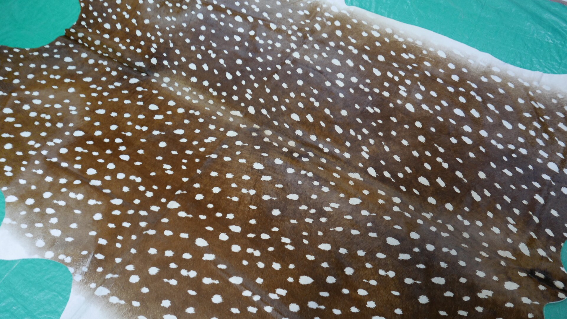 Axis Deer Print Cowhide Rug Average Size: 7X7 feet Brazilian | Etsy