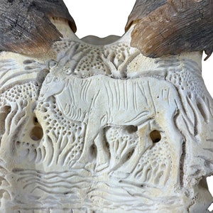 Giant Carved Eland Skull Real African Antelope Horns and Skull African ...
