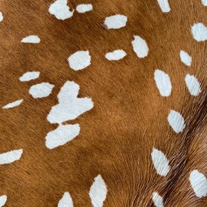 Axis Deer Print Cowhide Rug/ Deer Cowhide Rug/ Antelope Print Cowhide ...