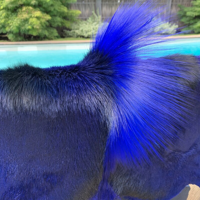 Springbok Hide - Etsy