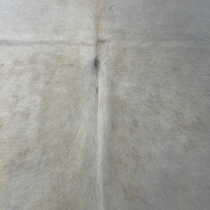 Light Cowhide Rug With Beige Belly Size: 7x6.2 Feet D-319 - Etsy