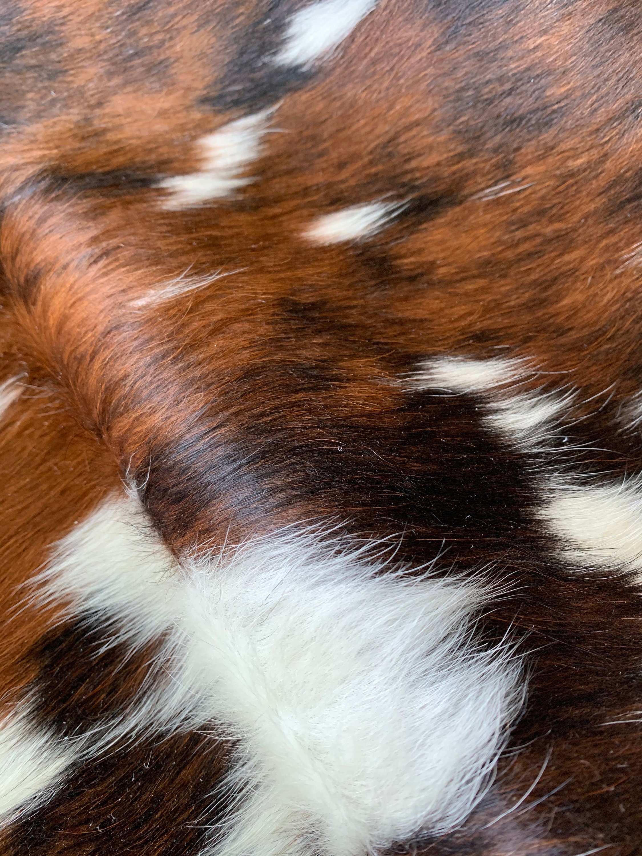 Tricolor Cowhide, Speckled Longhorn Cowhide Rug, Brown and White Hide ...