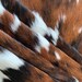 Tricolor Cowhide, Speckled Longhorn Cowhide Rug, Brown and White Hide ...