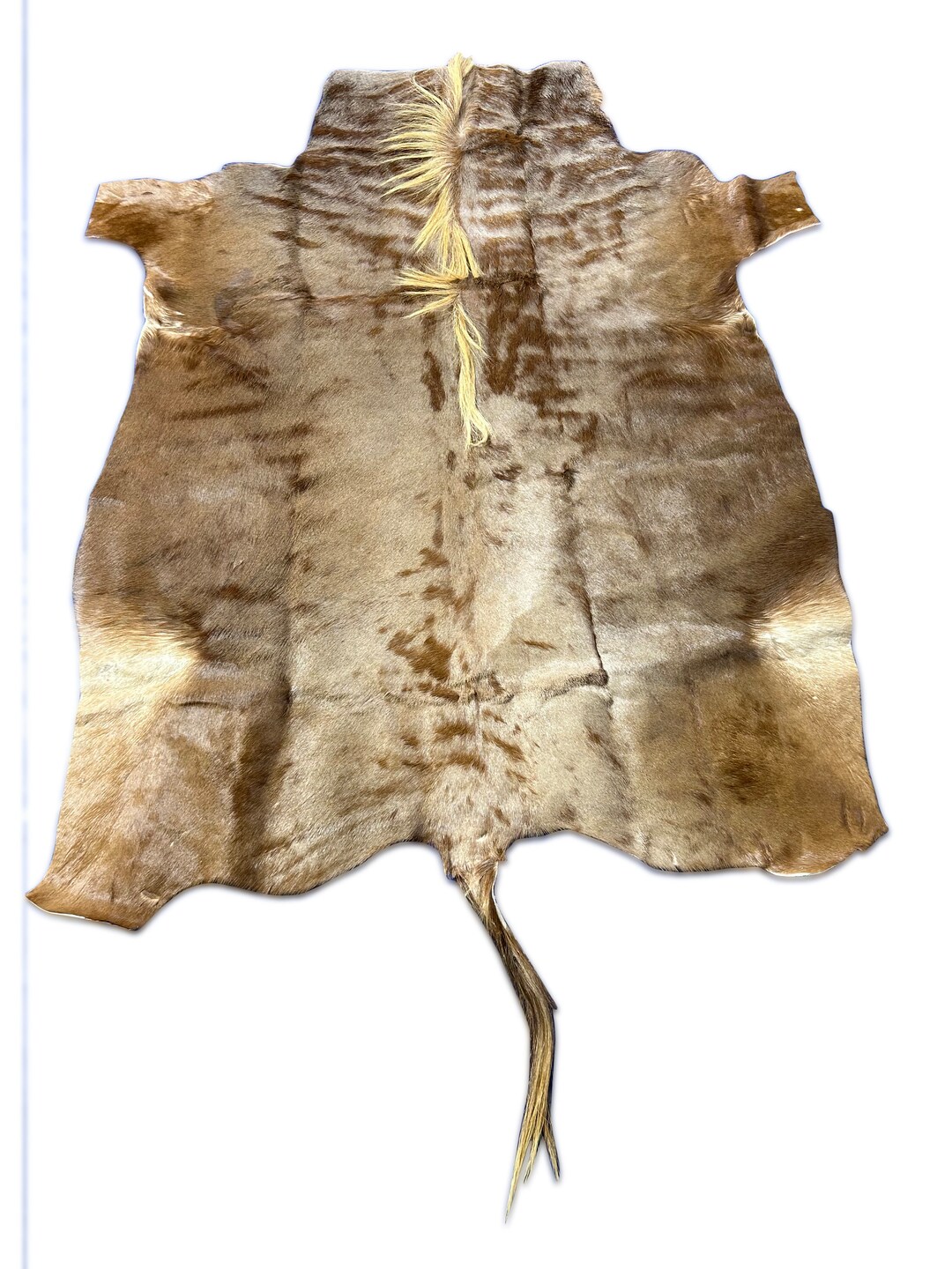 Golden Gnu Skin Rug Golden Wildebeest Skin Rug tail is Crooked and ...