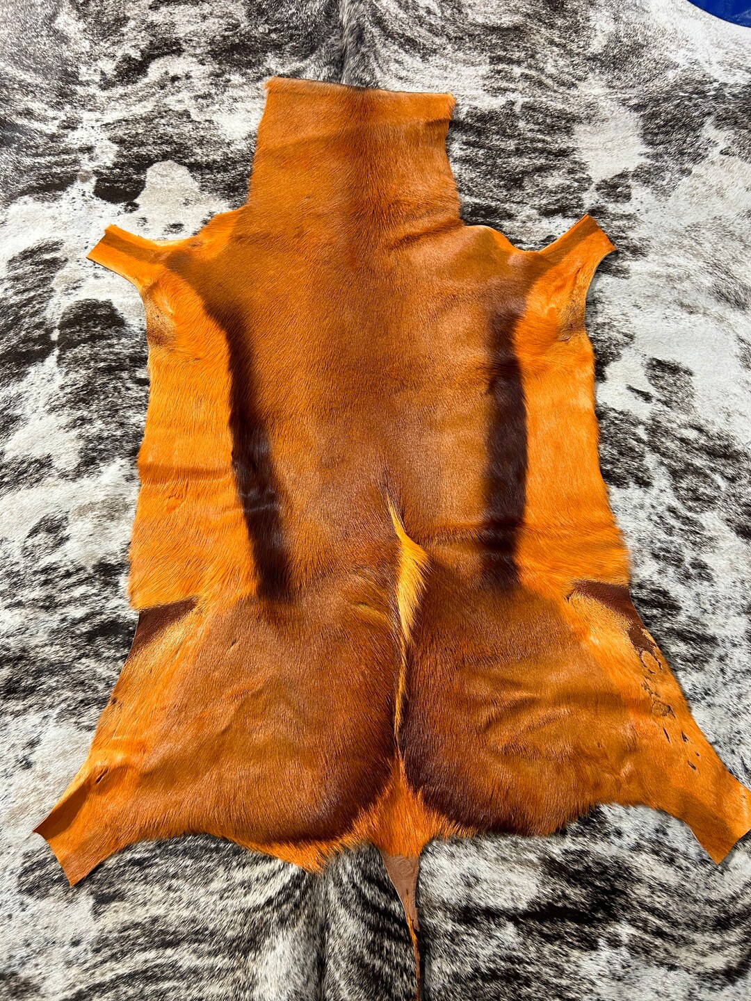 Dyed Burnt Orange African Springbok Skin African SPRINGBOK Skin African ...