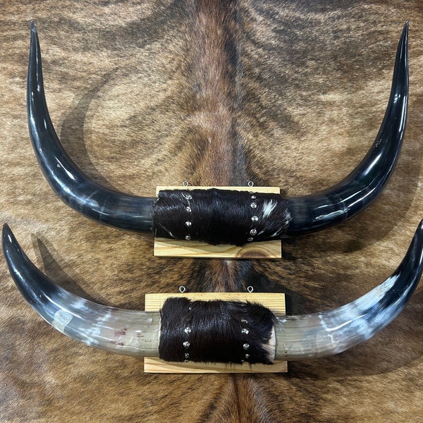 Horn Mounts - Etsy