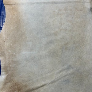 Light Cowhide Rug With Beige Belly Size: 7x6.2 Feet D-319 - Etsy