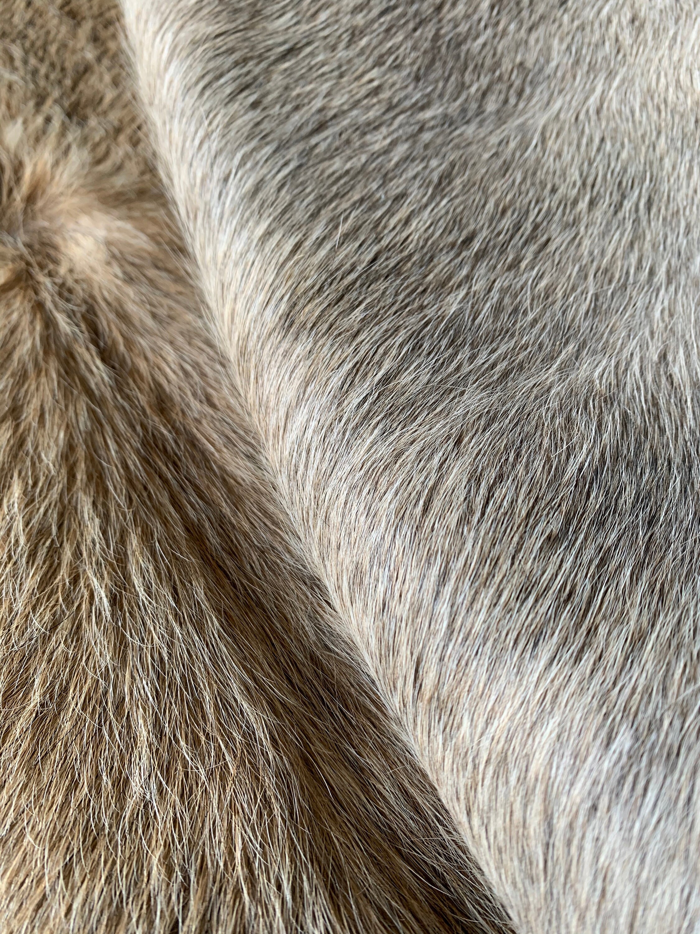 Grey Cowhide Rug Grey Hide Rug Grey and Beige Cow Skin Rug - Etsy