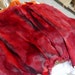 Dyed Red African Springbok Skin African SPRINGBOK Skin African Antelope ...