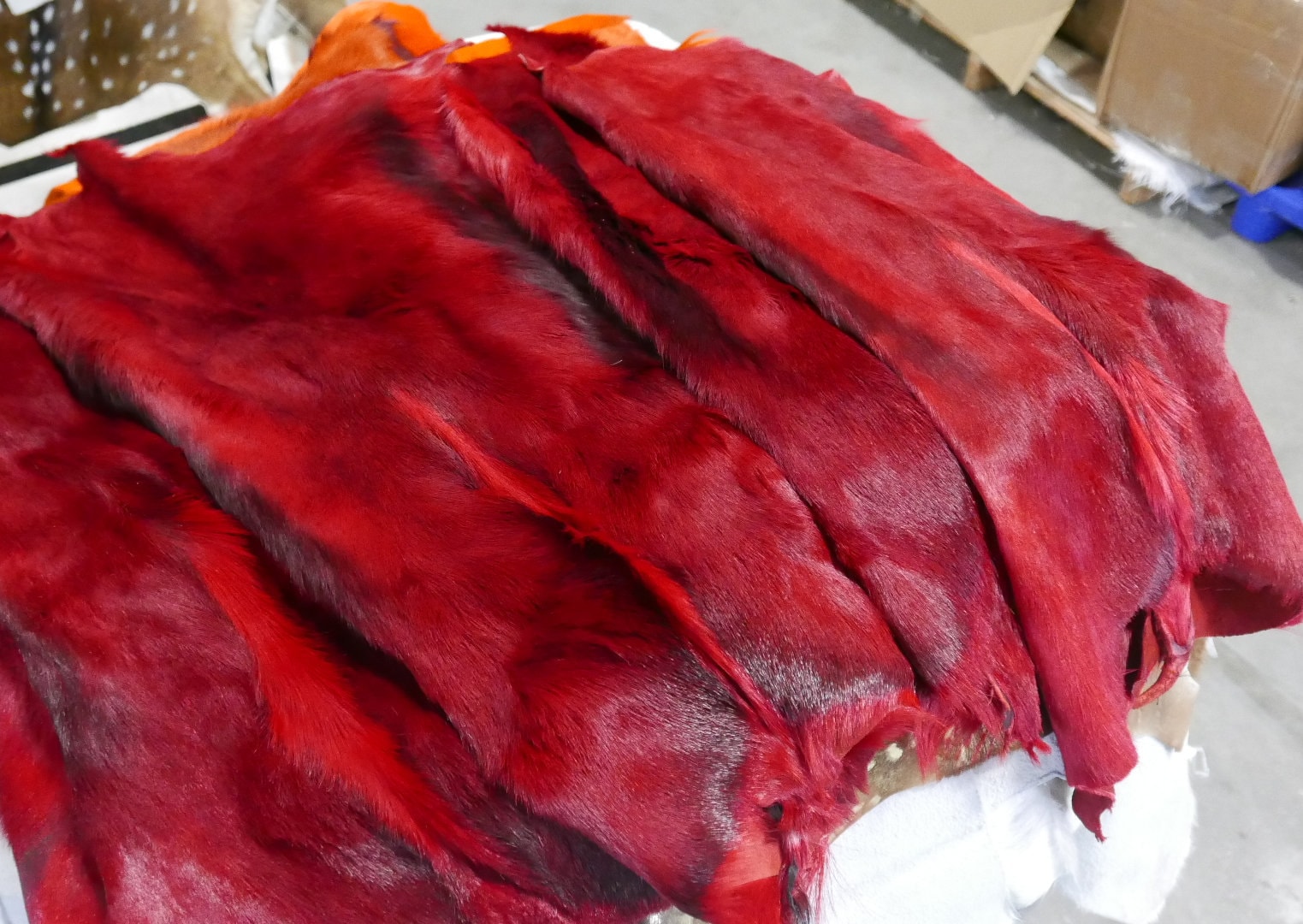 Dyed Red African Springbok Skin African SPRINGBOK Skin African - Etsy ...