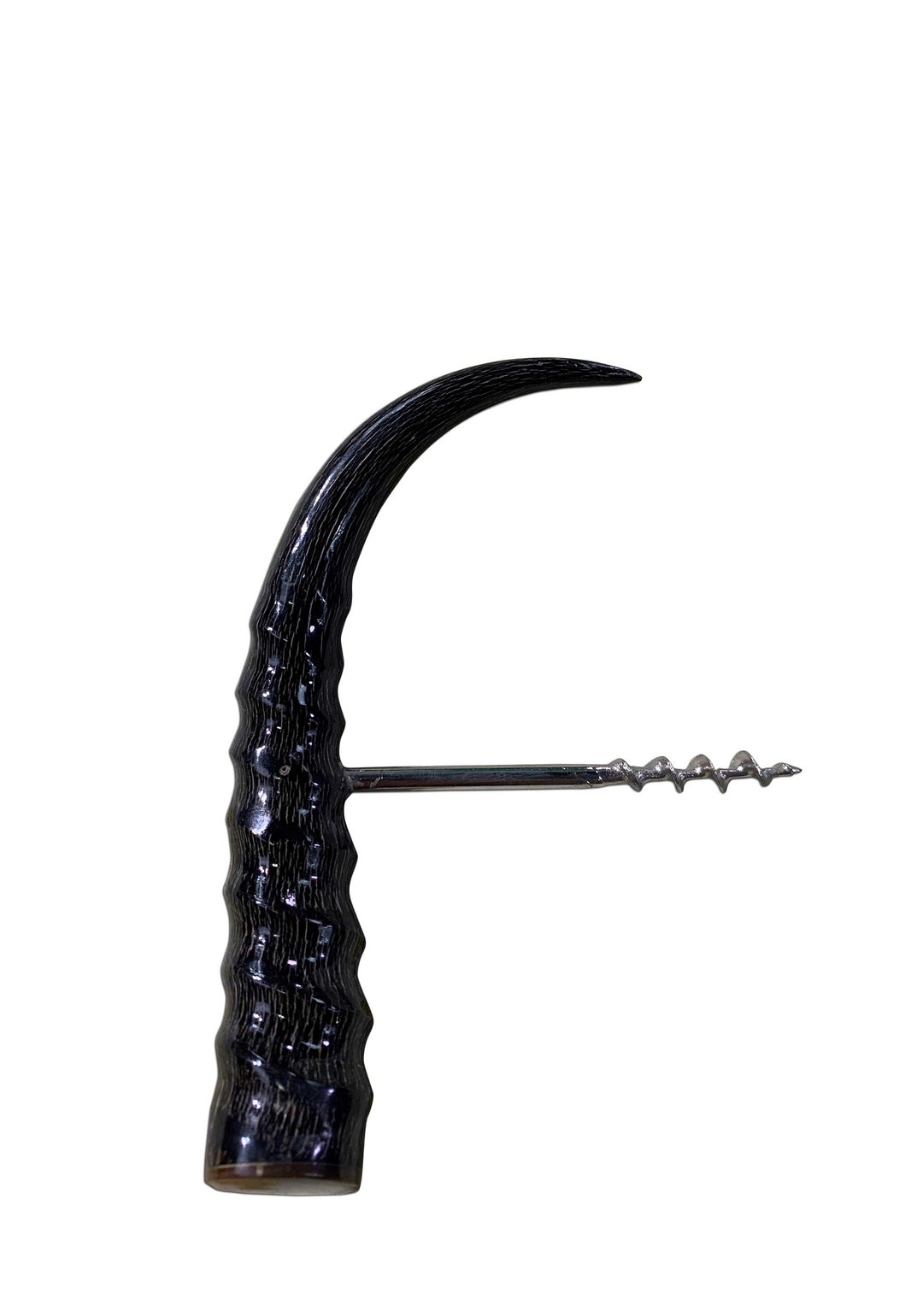 Horn Cork Screw Springbok Horn , 1 Wine Bottle Opener Average Size: 7 ...