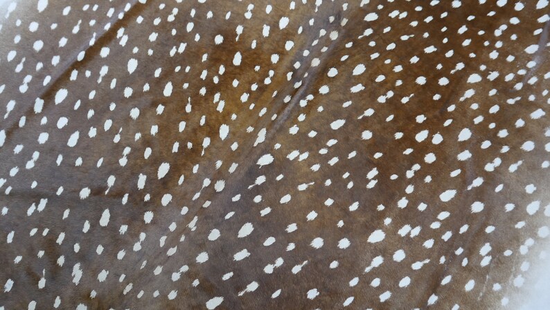 Axis Deer Print Cowhide Rug Average Size: 7X7 Feet Brazilian - Etsy