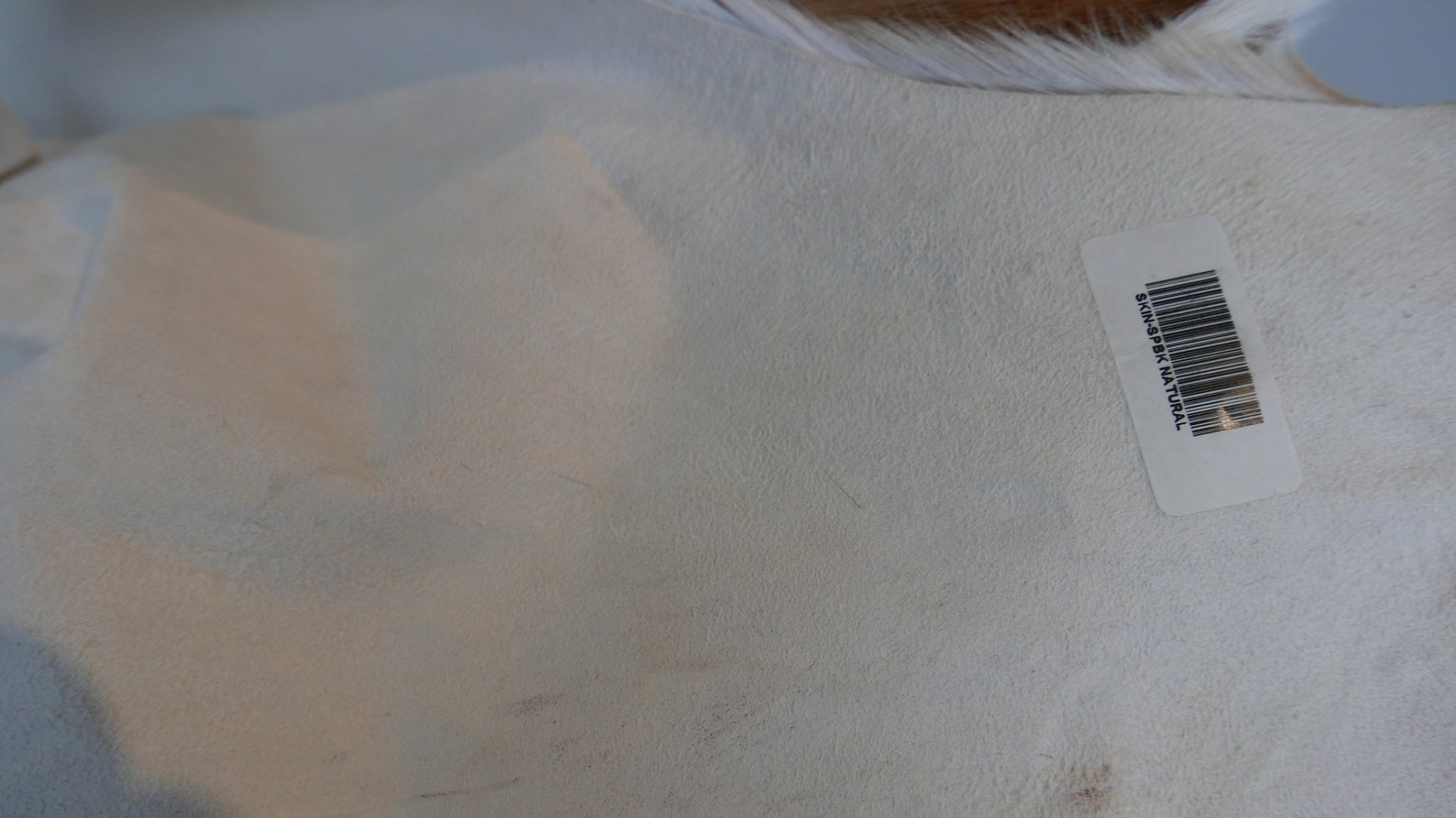 Springbok Hide Natural XXL African SPRINGBOK Skin Approx. - Etsy