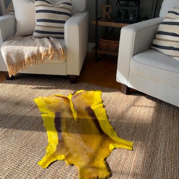 Springbok Hide - Etsy