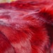Dyed Red African Springbok Skin African SPRINGBOK Skin African Antelope ...
