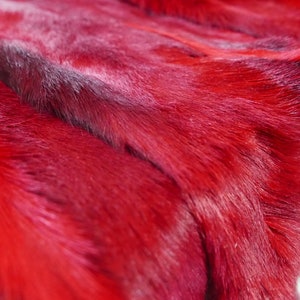 Dyed Red African Springbok Skin African SPRINGBOK Skin African Antelope ...