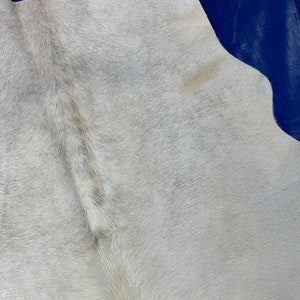 Light Cowhide Rug With Beige Belly Size: 7x6.2 Feet D-319 - Etsy