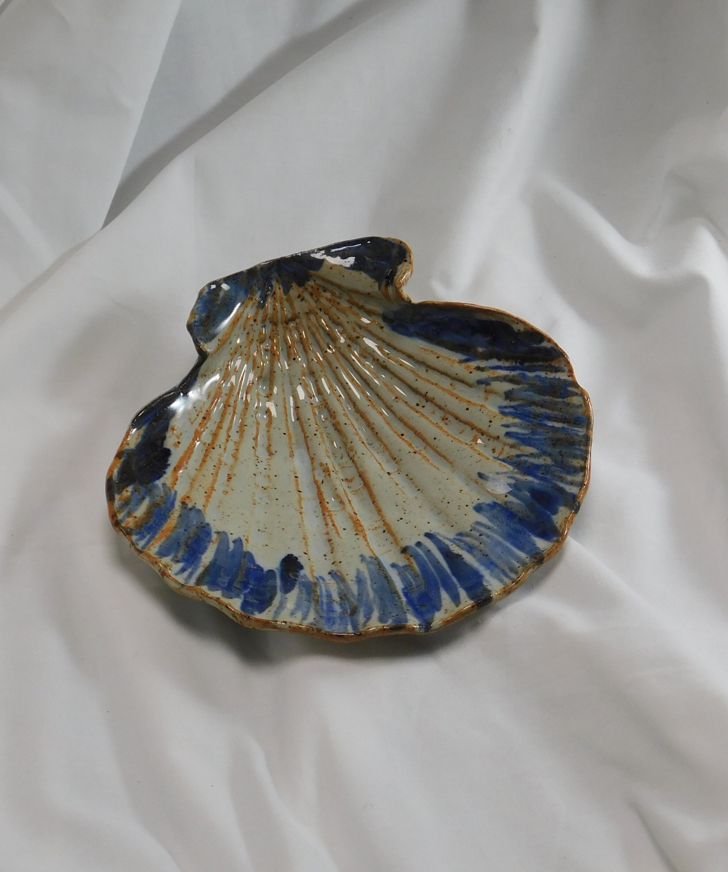 Blue Scallop Shell