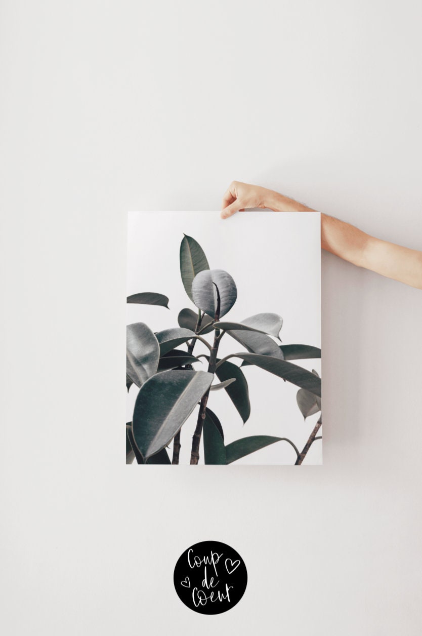 Printable Botanical Photo, Botanical Print, Large Plant Poster, Green ...